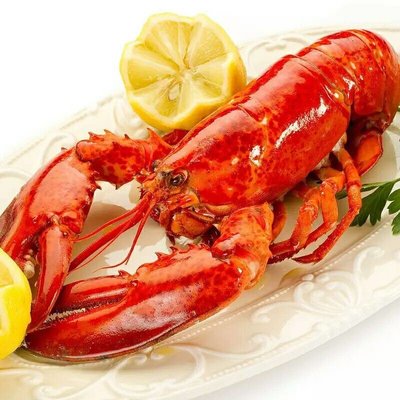 Fruit / Vegetable Preservatives Plant Extract Powder Chitosan Promote Wound Healing