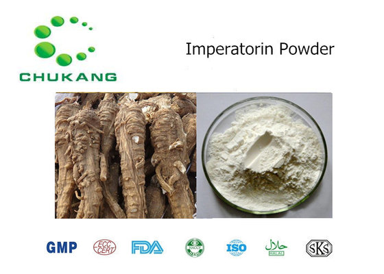 Cas  482 44 0 Angelica Extract Antibacterial Antianaphylaxis And Preventing Asthma