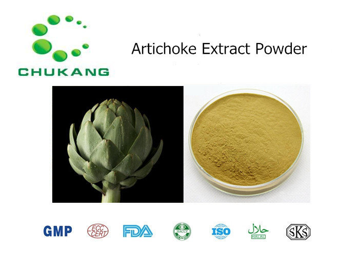Organic Herb Powder Artichoke P.E. Artichoke Extract 100% Nature Herbal Powder