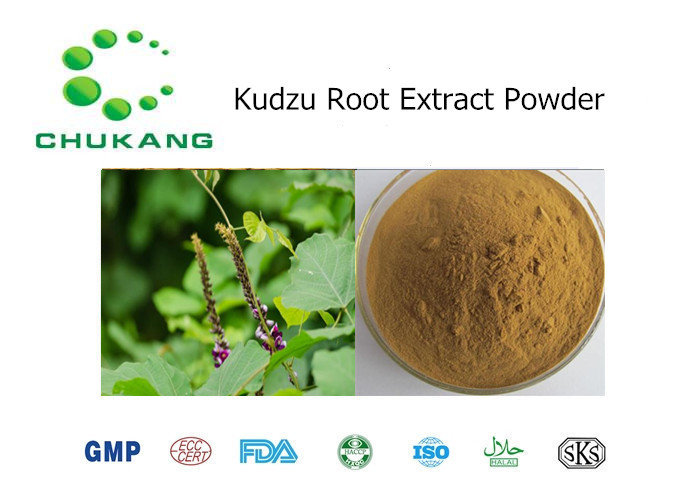 Organic Herbal Extract Kudzu Root P.E. Kudzu Root Extract Puer Nature Cas 3681 99 0