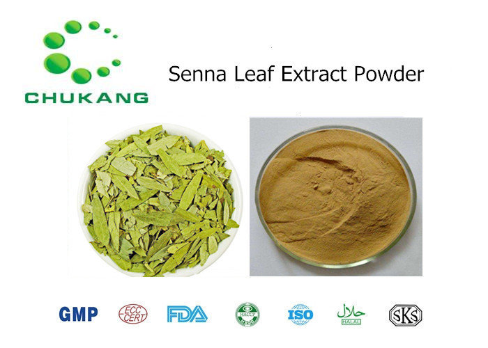 Senna Leaf Plant Extract Powder Folium Sennae CAS 81 27 6 Good Treatment Of Constipation