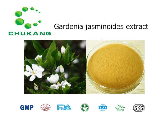 100% Nature Plant Extract Gardenia Jasminoides Ellis Extract /Gardenia Jasminoides Ellis CAS 1934 20 9