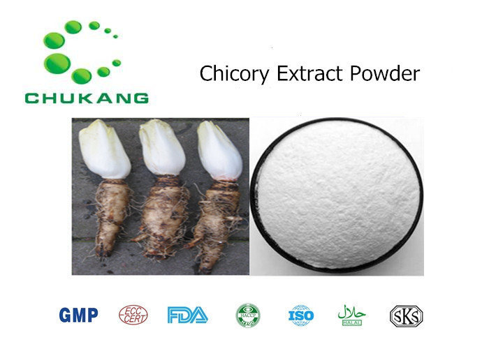 Chicory Inulin Plant Extract Powder Cichorium intybus CAS 9005 80 5