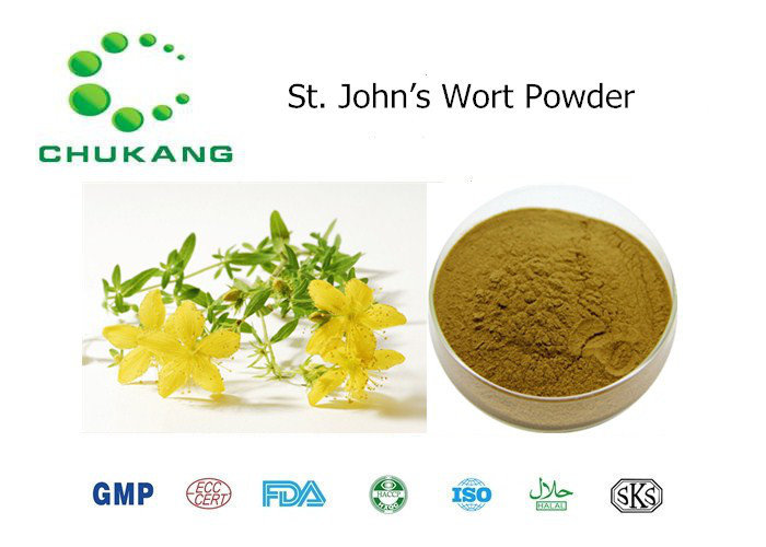 St Johns Wort Powdered Herbal Extracts Hypericum Perforatum L Food Ingredients