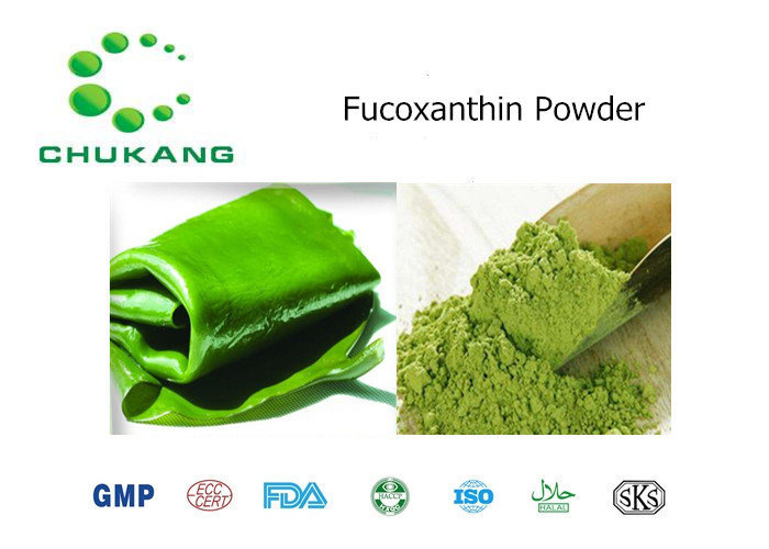 Off White Powder Natural Seaweed Extract Fucoidan Powder Fucoxanthin CAS 3351 86 8