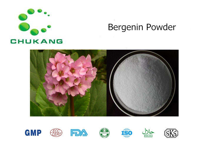 High Purity Botanical Powder Bergenin CAS 477 90 7 As Herbal Antitussive Expectorant