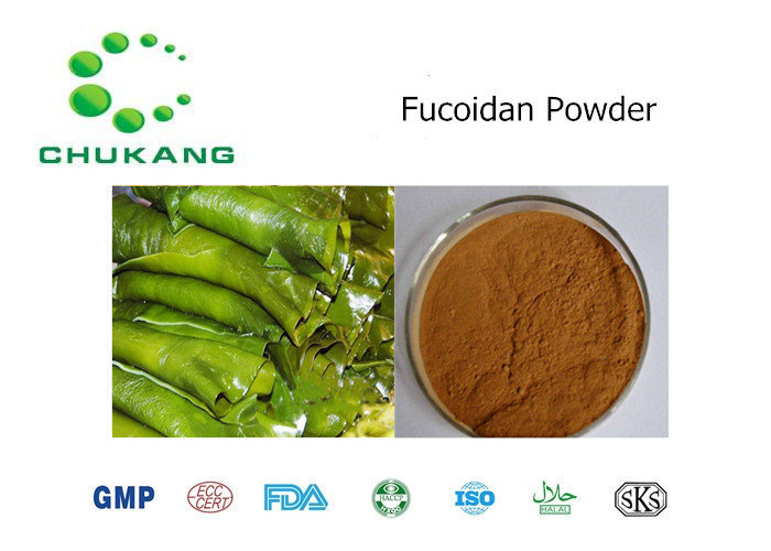 ISO Passed Organic Kelp Powder / Kelp Extract CAS 9072 19 9 With Two Years Shelf Life