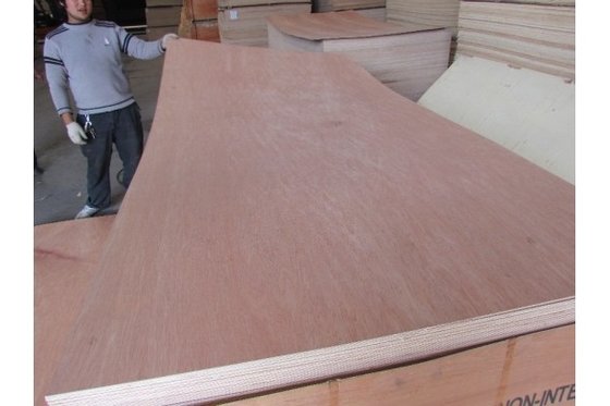 Bintangor Commercial Plywood 
