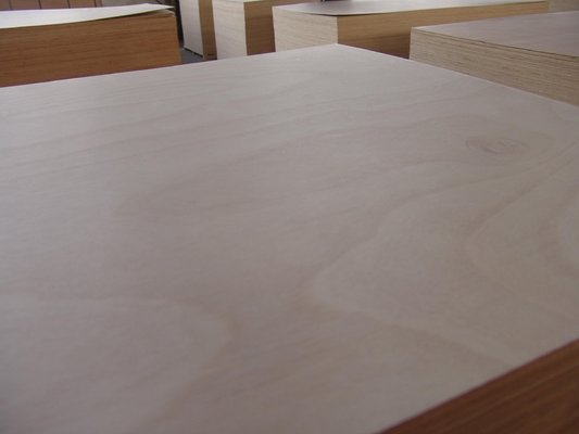 MR or Melamine White Birch Plywood / Birch Plywood Sheets 12mm 15mm 18mm