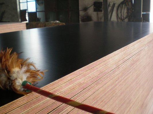 18mm Customized Durable Phenolic Film Faced Plywood for Industry , Black Film