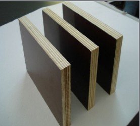 Waterproof Poplar Shuttering Plywood with MR / WBP / Melamine
