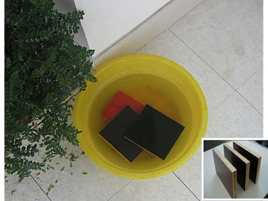 Poplar , Eucalyprus , Pine Construction concrete shuttering plywood fireproof and weather resistant