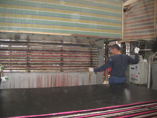 High Strength Construction Black Film Faced Plywood , Finger-Jointed FFP