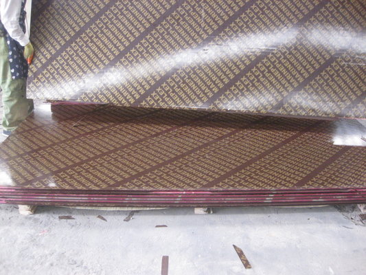 Finger-Jointed Brown Film Faced Plywood 12mm - 21mm For Construction