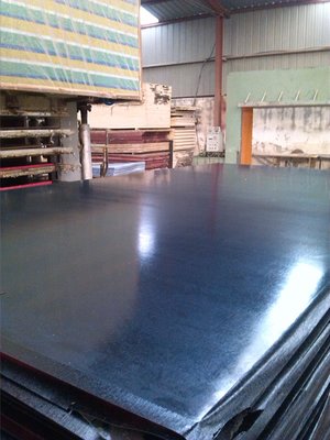 Combination Phenolic Film Faced Plywood skid resistance with High Density