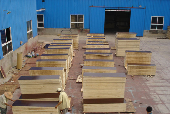 Waterproof Phenolic Film Faced Plywood Hot Pressing , Eco-friendly