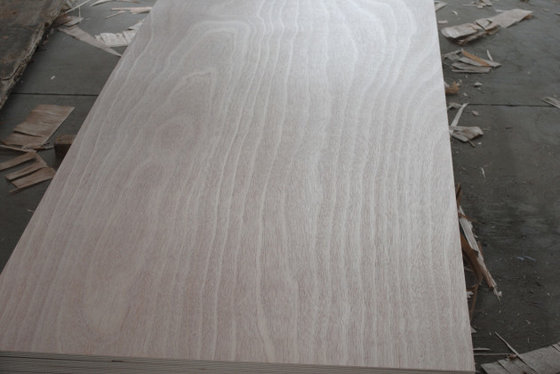 Door Decorative Commercial Plywood , thin plywood sheets Environmental