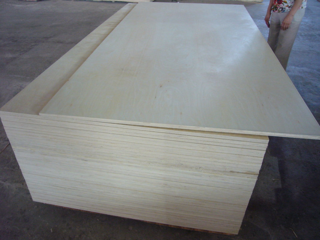 MR or Melamine White Birch Plywood / Birch Plywood Sheets 12mm 15mm 18mm