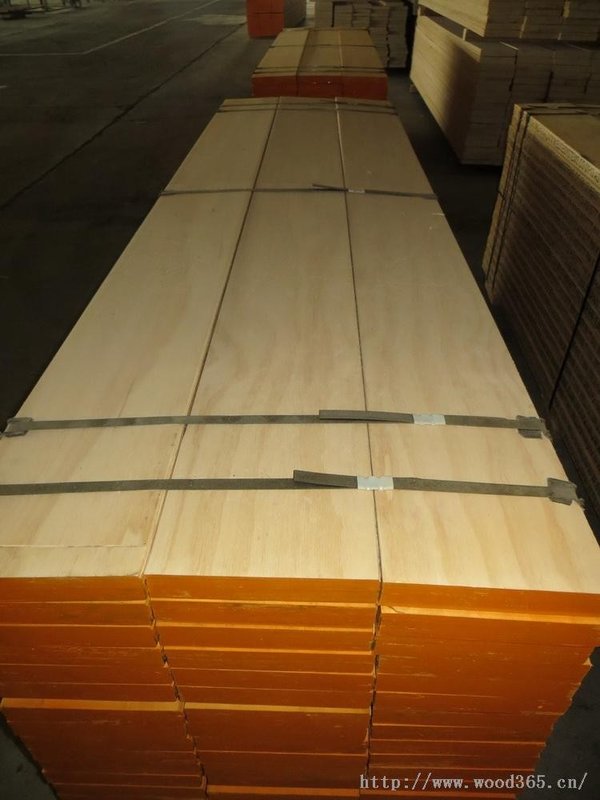Phenolic Glue LVL Lumber Radiate Pine  LVL Scaffold Plank OSHA Scaffold For Construction