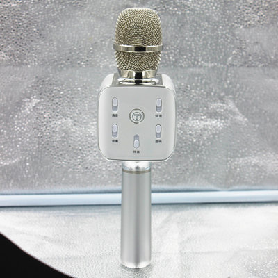 Portable speaker wireless microphone taiwan hot selling microphone Tosing plus