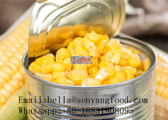 Yellow Canned Sweet Corn in Tin Canned Food