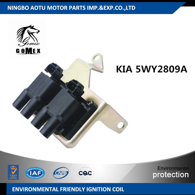 Car Ignition Coil , KIA 5WY2809A Double Ignition Coil For Auto Ignition System
