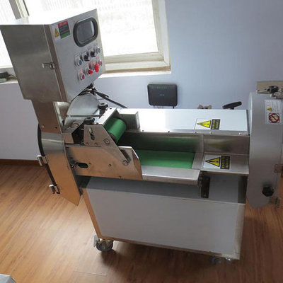 Vegetable Cutter