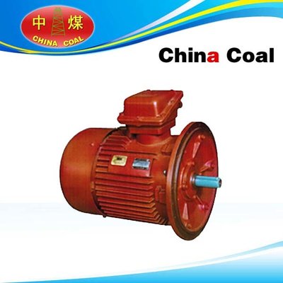 YBJ Series Three-phase Asynchronous Motor