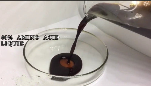Best Vegetable Bloom Liquid Fertilizer 4-3-3 Brands Application