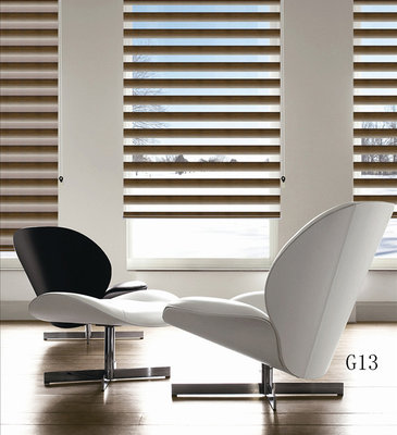High Quality modern home window zebra blinds shade Customized size