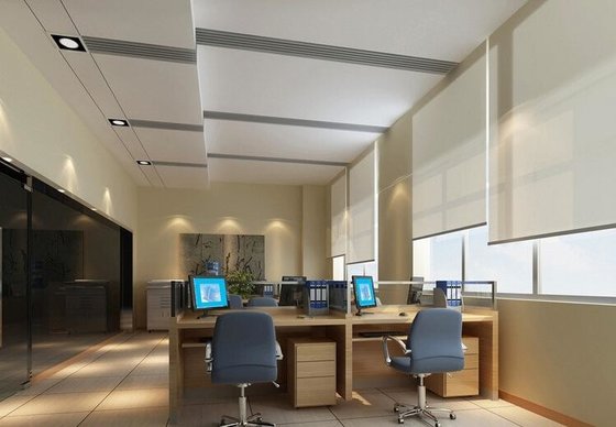 Auto Wifi Smart Daylight Fabric motorized/manual roller blind Roller Shades outdoor Custom