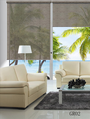 Waterproof Spring System Blackout Roller Blinds For Office Home Windows Custom