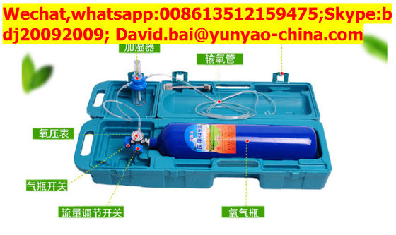 Small portable oxygen cylinders