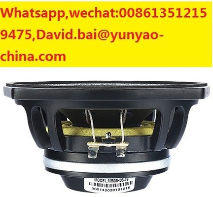 neodymium 18 inch line array outdoor subwoofer speaker