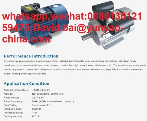 YL series two value capacitor asynchronous motor