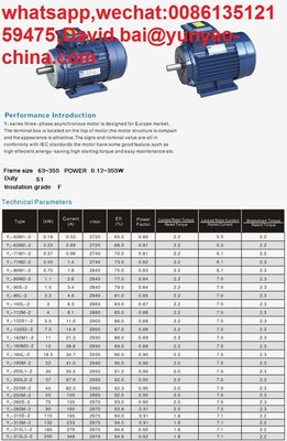 Y2 Series Three Phase Asynchronous Motor