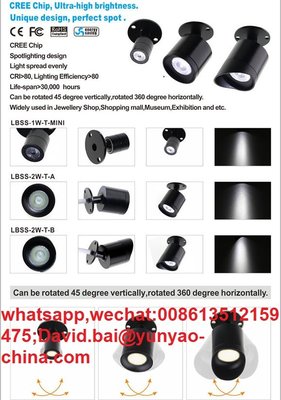 LBSS-2W-T-B Cabinet Light