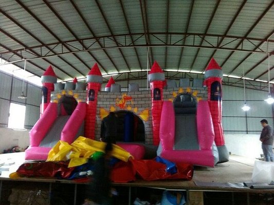12m x 10m Castle Inflatable Dry Slides Dragon Cartoon Fireproof High Tension