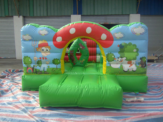 Exciting Commercial Inflatable Sports Games / Bouncing House / Bouncy Castle