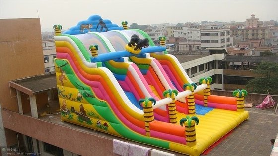 customized Inflatable Water Sports Inflatable Slides / Castle Slides Fireproof