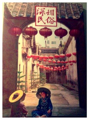 Entertainment In China Shenzhen Private English Speaking Guide