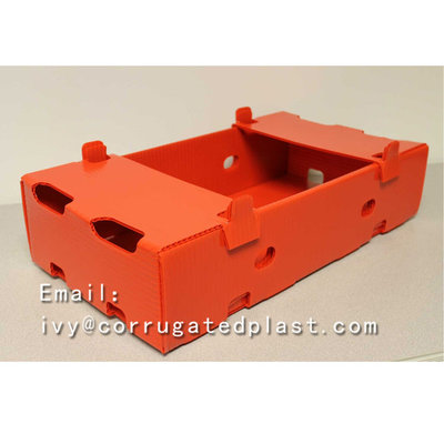 Foldable Polypropylene Corrugated Plastic Packaging Box