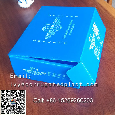 Fruit and Vegetables Corrugated Plastic Packaging Box
