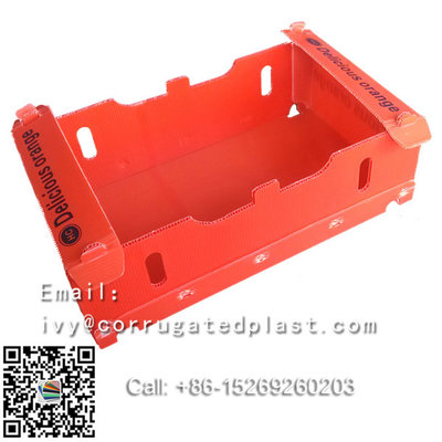 Pp Plastic Corrugated Fruit /Vegetable Packaging box