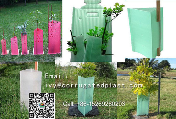 Corrugated PP plastic Corflute tree guards