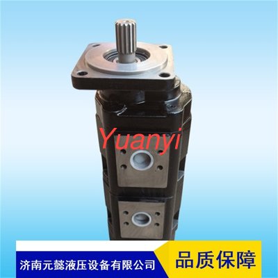 Jinan Hydraulic Pump JHP2080/2063 JHP2080/2050 JHP2080/2040 Double Gear Pump