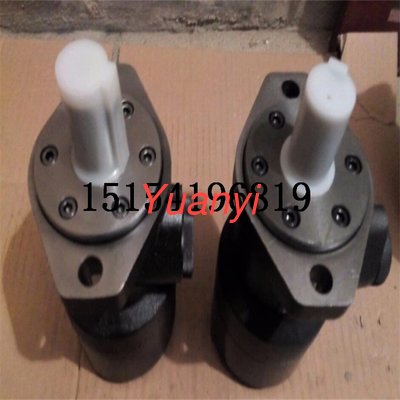 Eaton BM2-63 BM2-80 BM2-100 BM2-125 BM2-160 BM2-200 Hydraulic Motor