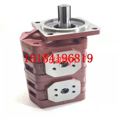 CBGJ Hydraulic Gear Oil Pump Jinan Hydraulic Pump CBGJ2080/2080 CBGJ2063/2063 CBGJ2050/2050 Hydraulic Gear Pump