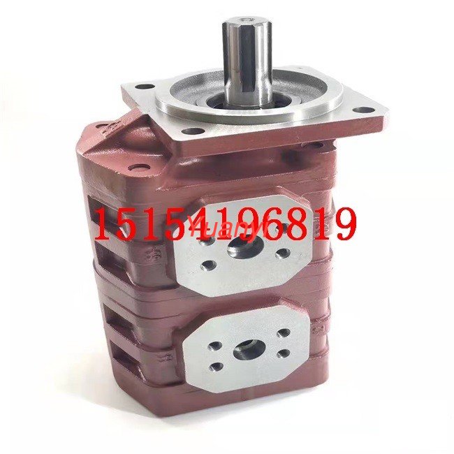 CBGJ Hydraulic Gear Oil Pump Jinan Hydraulic Pump CBGJ2080/2080 CBGJ2063/2063 CBGJ2050/2050 Hydraulic Gear Pump