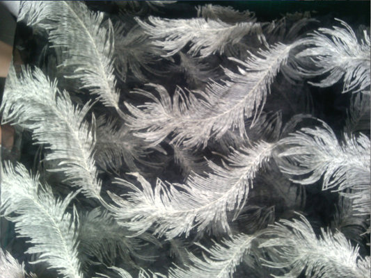 White feather organza pattern embroidered Cotton Lace Fabric For apparel
